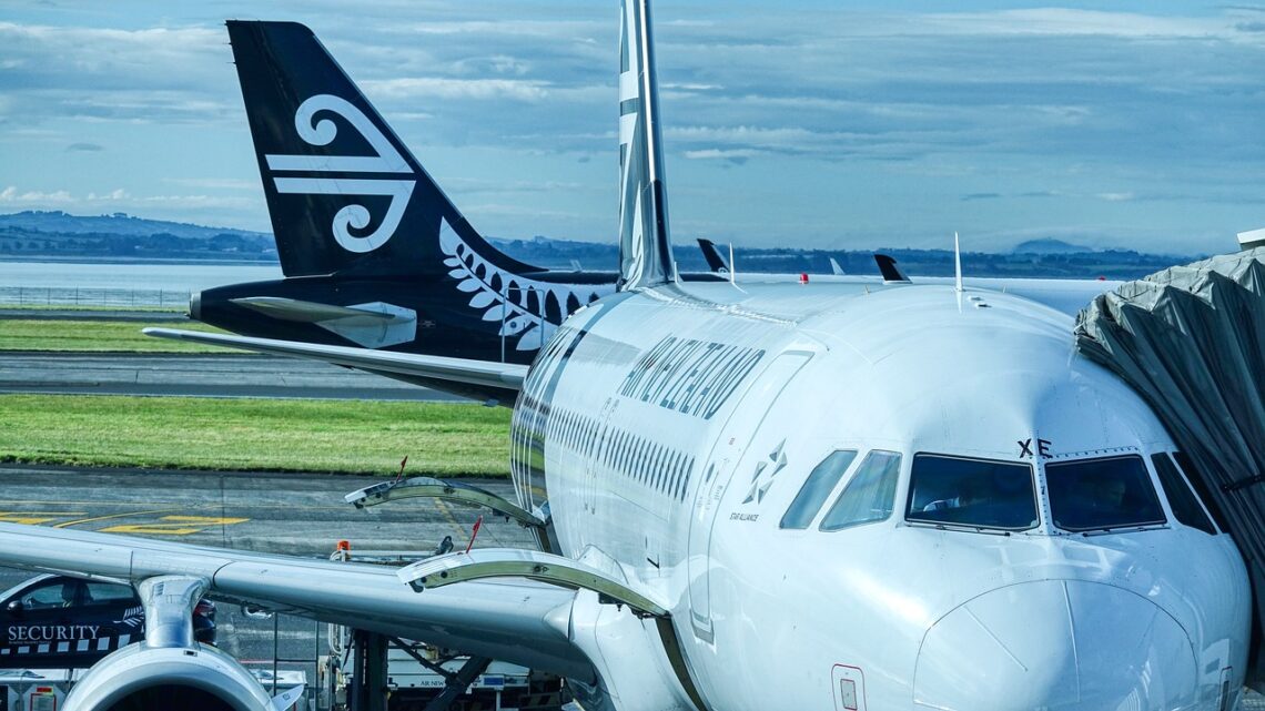 Air New Zealand Partners with Largest Food Delivery Site in the World ...