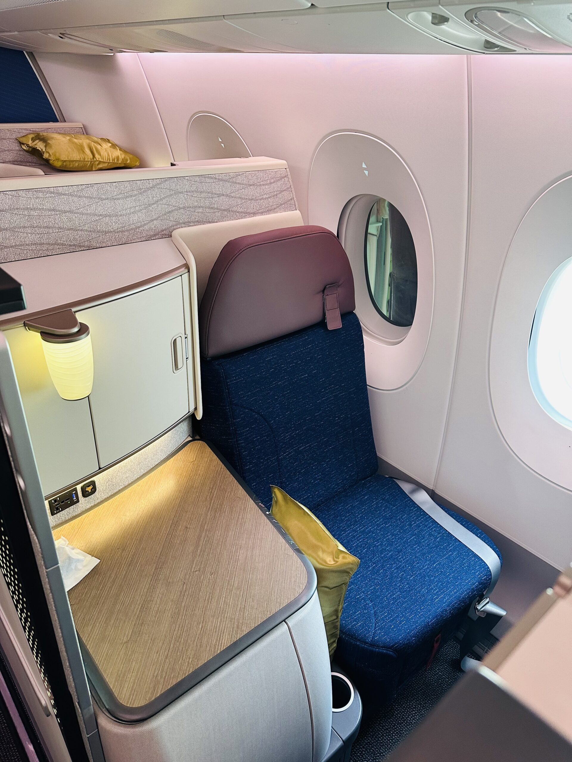 Air India's First A350, New Interiors, Branding: Exclusive Flight ...